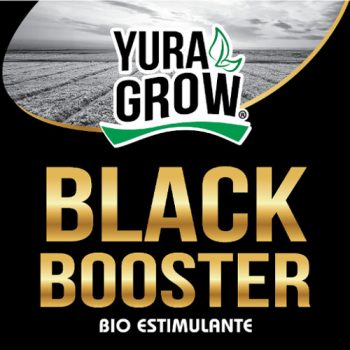 Black Booster